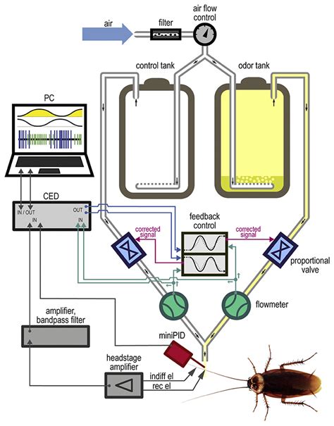 Developing And Testing Of An Air Dilution Flow Olfactometer With Known