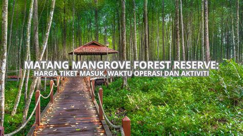 Matang Mangrove Forest Reserve Harga Tiket Waktu Operasi And Aktiviti