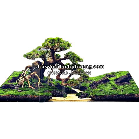 BỐ CỤc Layout QuỐc DÂn