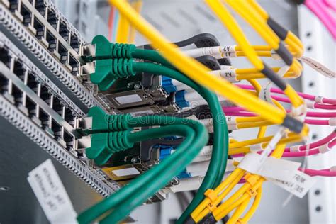 Fiber Optic Cables Connected To Optic Ports Network Cables Conn Stock Image Image Of Link