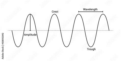 Label The Parts Of A Transverse Wave Crest Trough Wavelength And Amplitude Of The Wave The