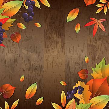 秋紅圖案素材 PNG和向量圖 透明背景圖片 免費下载 Pngtree