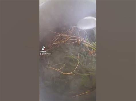 #крем#для#лица на травах и минеральной воде из источника... - YouTube