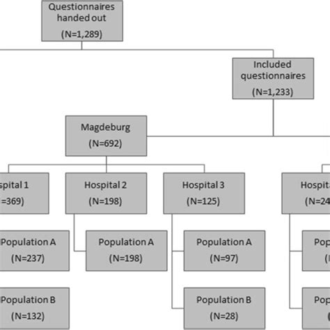 Flowchart Presenting The Survey Participants By Hospital And Download Scientific Diagram