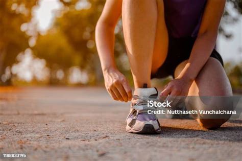 신발 끈을 묶는 여자는 실행 준비 길에서 야외 조깅을준비하는 여성 조깅 숲에서 야외 조깅 가을에 대한 스톡 사진 및 기타 이미지 Istock