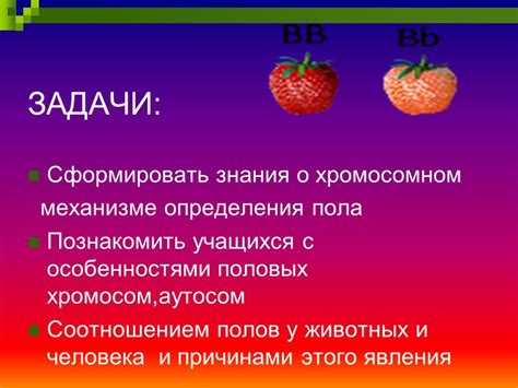 Генетика пола 10 класс презентация по биологии 96 фото
