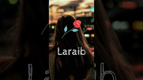 Laraib Name Status Laraib Name Tiktok Status Tiktok Status Sorry