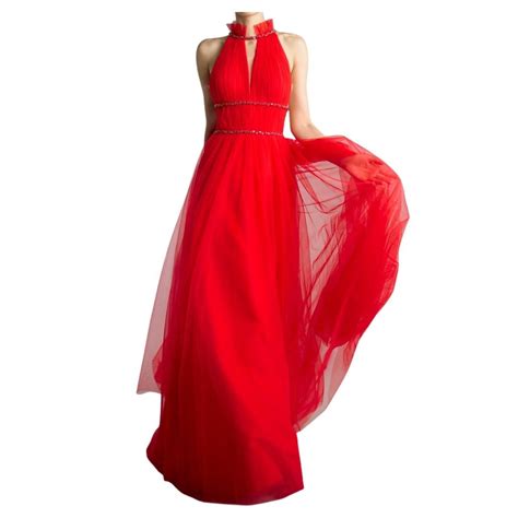 Vriesea Sarta And Bguest Vestidos