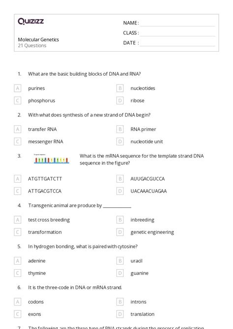 Printable Genetic Mutation Worksheets Quizizz