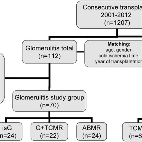 Patient Flow Bkvn Bk Polyomavirus Nephropathy Bx Index Transplant