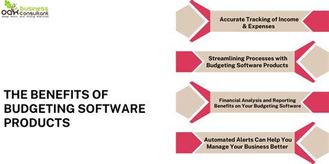 How To Make The Most Of Your Budgeting Software B Oak Business Consultant