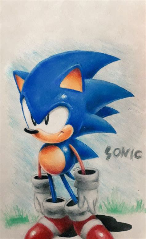 880 Ideas De Sonic En 2022 Sonic Fotos Sonic Sonic Dibujos Porn Sex