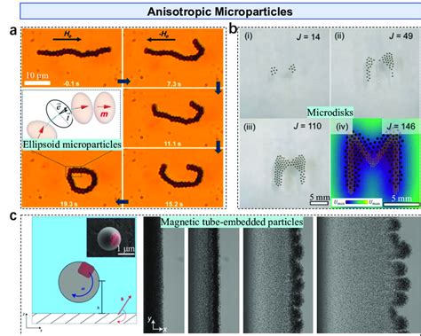 Anisotropic Magnetic Microparticles In Microswarms A Formation Of A Download Scientific