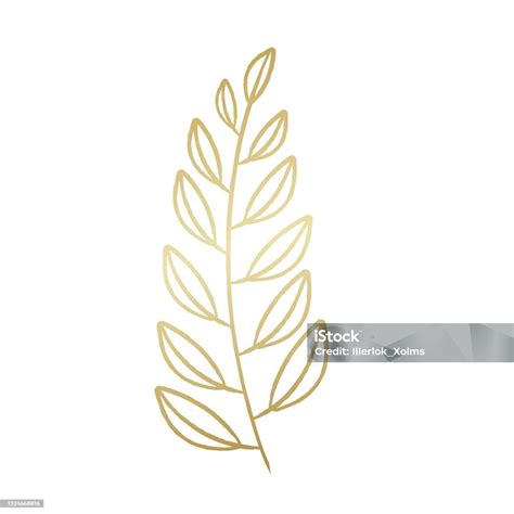 골드 월계수 가지 꽃 장식 칸막이 컬렉션 빈티지 월계수 화환 손으로 그린 벡터 월계수 장식 요소를 남깁니다 잎 소용돌이 화려한 상 아이콘 벡터 그림입니다 고대 유물에 대한