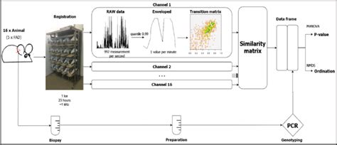 Workflow Of Data Processing Download Scientific Diagram