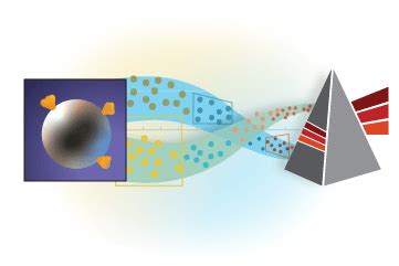 BD FACSDiva Software Translator FlowJo LLC