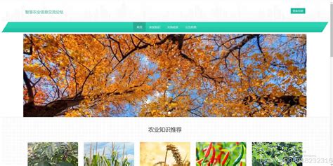 基于php的智慧农业信息交流论坛系统 Csdn博客