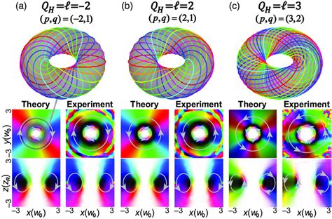 Top The Torus Knot Configurations Of A Toroidal Layer In The Hopf Download Scientific Diagram