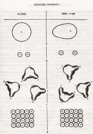 Various Polarization Processes A Electronic Polarization B Download Scientific