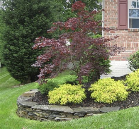 Beautiful Front Yard Landscaping Ideas Easy Backyard Landscaping Tips