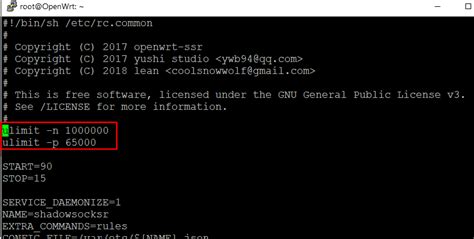 公司环境下ssr Plus性能问题 · Issue 1607 · Coolsnowwolflede · Github