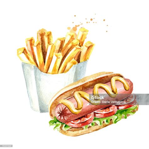 핫도그와 프렌치 프라이 스틱 포테이토 수채화 손으로 그린 그림 흰색 배경에 고립 수채화에 대한 스톡 벡터 아트 및 기타 이미지