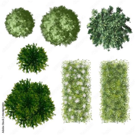 Green Grass Isolated On White Background Set Of Watercolor Tree Top View For Landscape Plan And