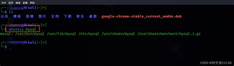 注入攻击二 HTML 有源码