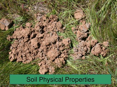 PPT Soil Physical Properties PowerPoint Presentation Free Download ID 680711
