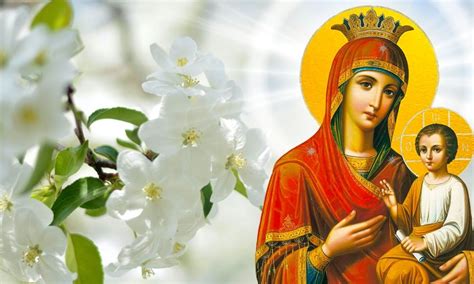 ტოპ 5 ყვავილი და მცენარე რომლებიც სახლში სიყვარულს ბედნიერებასა და წარმატებას იზიდავენ All Time