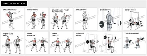 Cortex Sm 26 6 In 1 Power Rack With Dual Stack Smith And Cable Machine Lifespan Fitness