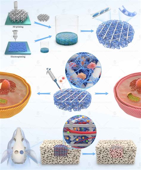 科研绘图sci画图作图学术杂志封面设计toc示意图文章配图医学动画