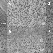 SEM Images Of Filter Paper A Nonporous SiO Deposition Onto The Download Scientific Diagram