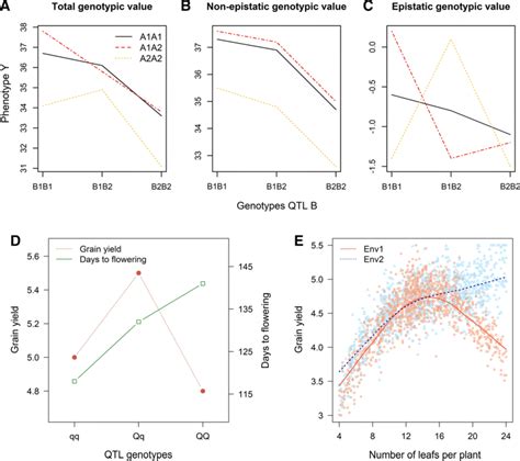 Examples Of Non Additive Relationships Between Genotypesintermediate Download Scientific