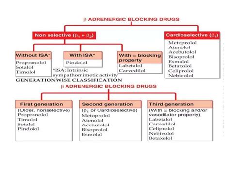 Beta Blocker Ajayyyyyyyyyyyyyyyyyyyyppt