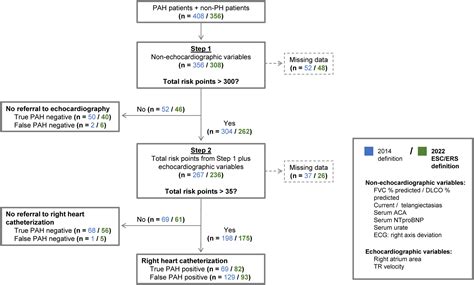 Performance Of Detect Pulmonary Arterial Hypertension Algorithm