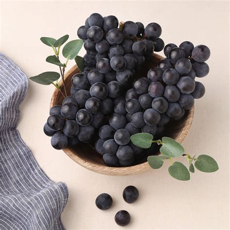 고당도 머루포도 1 5kg 박스 홈플러스