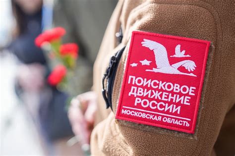 В Подмосковье стартовал новый поисковый сезон «Вахта памяти 2024» | Радио 1