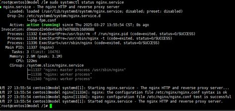 Centos Stream 10安装nginxcentos10安装nginx Csdn博客