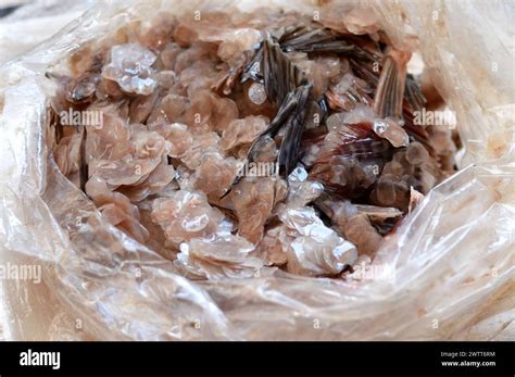 Fish Scales After Removed In The Cleaning Process A Fish Scale Is A