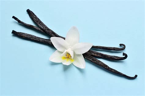 Where Does Vanilla Flavoring Come From History Of Pure Vanilla Extract Trusted Since 1922