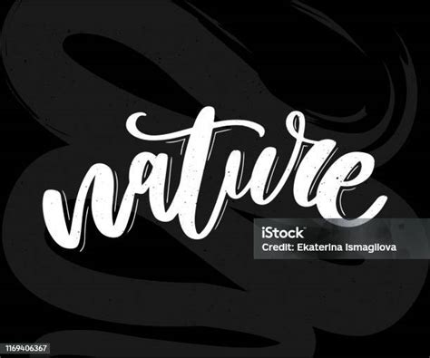 천연 제품 스티커 그런 지 녹색 페인트 스트로크에 손으로 쓴 현대 서예 스티커 배너 카드 광고에 대한 환경 친화적 인 개념 벡터 생태 자연 디자인입니다 0명에 대한 스톡