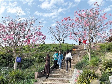 江门日报多媒体报刊