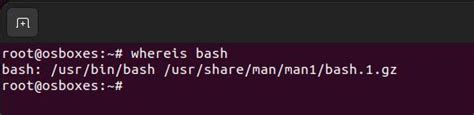 Bash Basics Understanding The Fundamentals Of The Bash Shell Tech Hyme