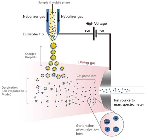 Interfaces For Lcms Shimadzu Asia Pacific