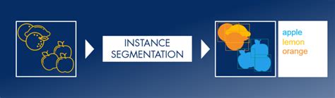 Instance Segmentation Mvtec Software