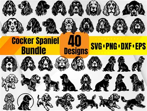 High Quality Cocker Spaniel Svg Bundle Cocker Spaniel Face Svg Cocker