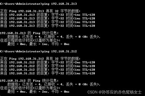 西电软工计网实验1：局域网构建和基本命令 组网与运维实验西电 csdn博客