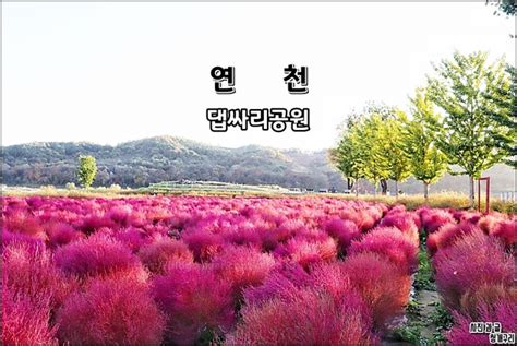연천 임진강 댑싸리공원 10월에 가볼만한곳 네이버 블로그