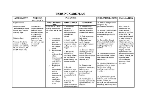 Ncp Cmz Ncp Nursing Care Plan Assessment Nursing Diagnosis Planning
